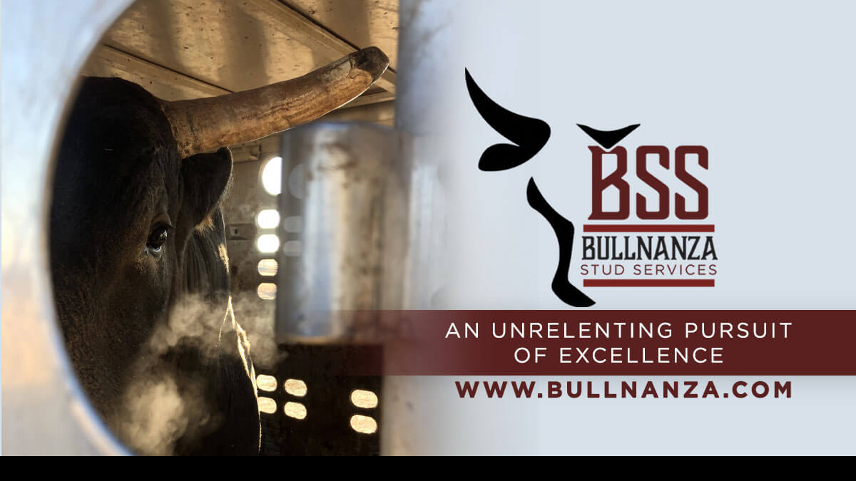 Home - Bullnanza Stud Service - Bull Semen Collection Facility